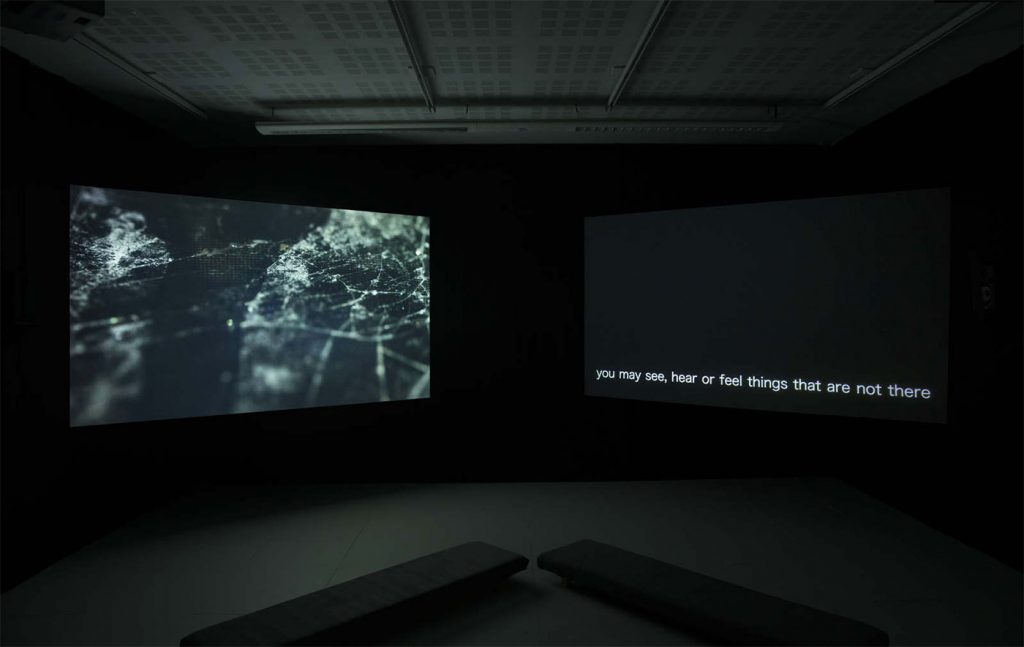 ARTISTS FROM TURKEY AT TRANSMEDIALE FESTIVAL BERLIN – Exhibist